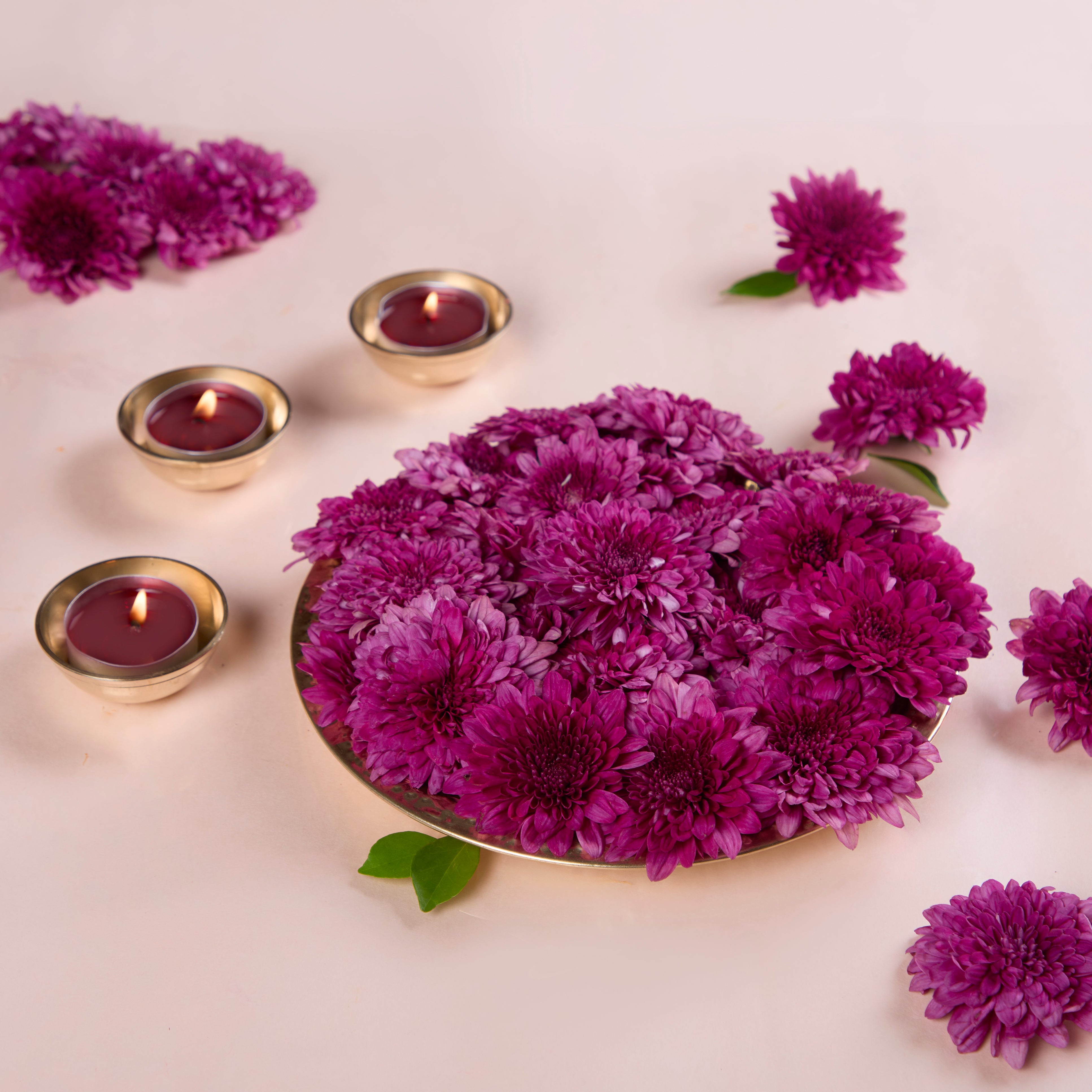 Purple Shevanti